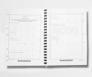 Edexcel Pearson Primary Year 6 Mathematics Past Papers – Print On Demand