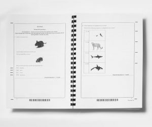 Edexcel Pearson Primary Year 6 Science Past Papers – Print On Demand